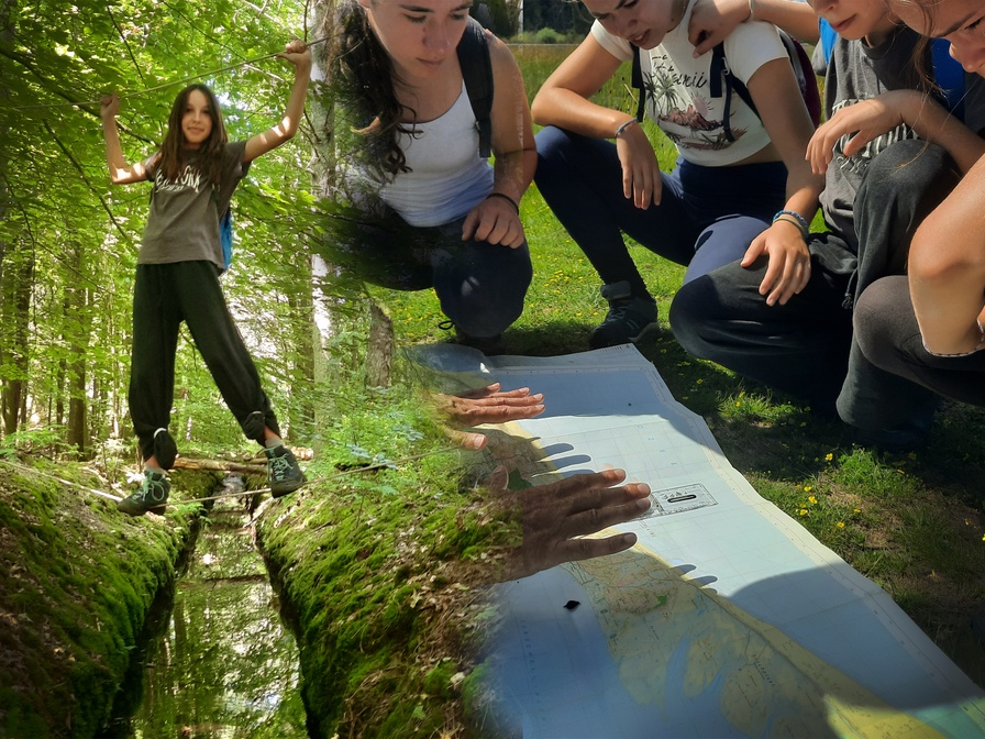 Survival in nature - excursion for children in Lies | Guided tour ...