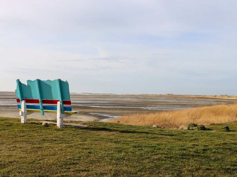 Yoga Walking in West-Terschelling | Actief & Sportief, Bezinning | VVV ...