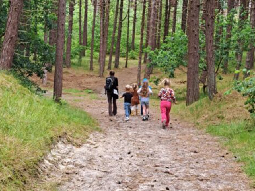 Tree to forest walking route Terschelling in Lies | Walking, Activity ...