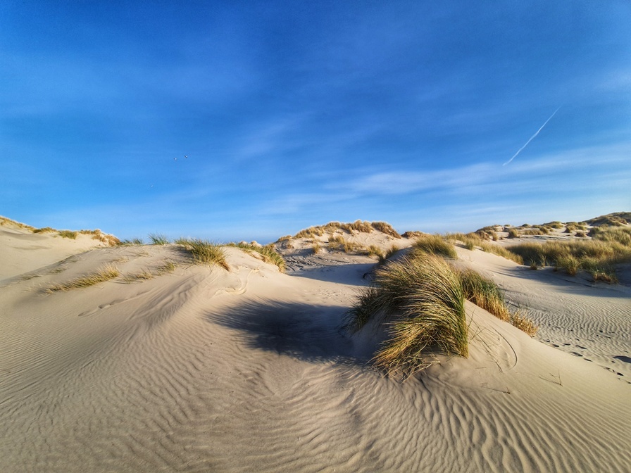Stuivende duinen - VVV Terschelling